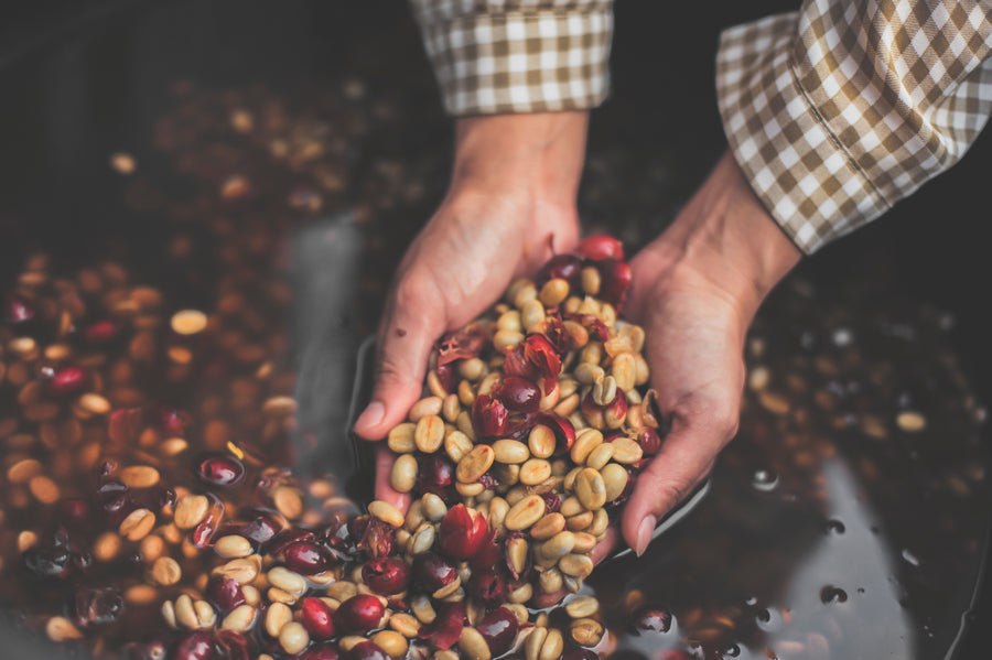 Été Coffee Roasters